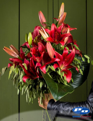 Lily Flowerbulbs | Onings America